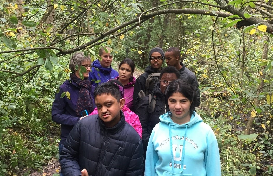 Arbeidslivstrening (AT)