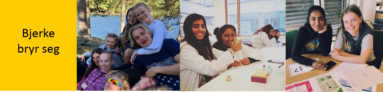 Skjema for idrett valg bredde topp