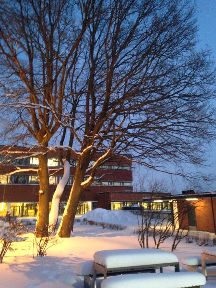 Bjerke videregående skole